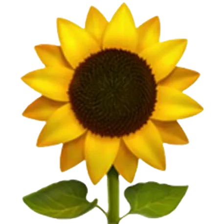 SNFLR - XRP | First Ledger