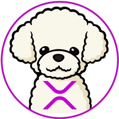 XRPoodle - XRP | First Ledger