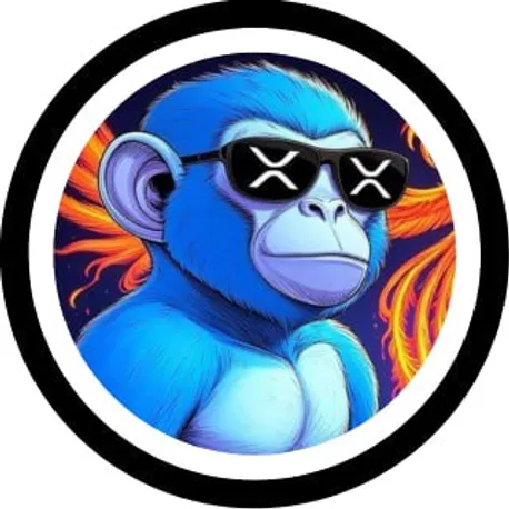 XONKEY - XRP | First Ledger