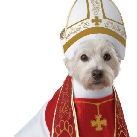 XGD - XRP | First Ledger